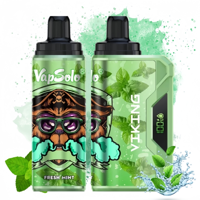 VapSolo 12000 Fresh Mint Geschmack | Preis €6,88 | großhandel Deutschland